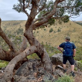 The Long Run : Teams